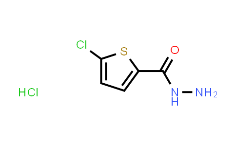 2305079-80-3 | 5-Chloro-thiophene-2-carboxylic acid hydrazide ...